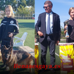 'Paris', la perra de la joven lenense Valeria Álvarez, se confirma como ...